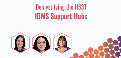 IBMS Support Hubs